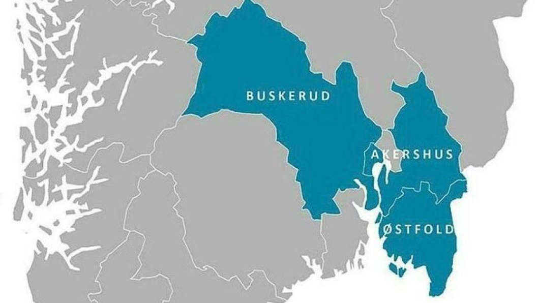 Her er ti favoritter til nytt fylkesvåpen for Viken